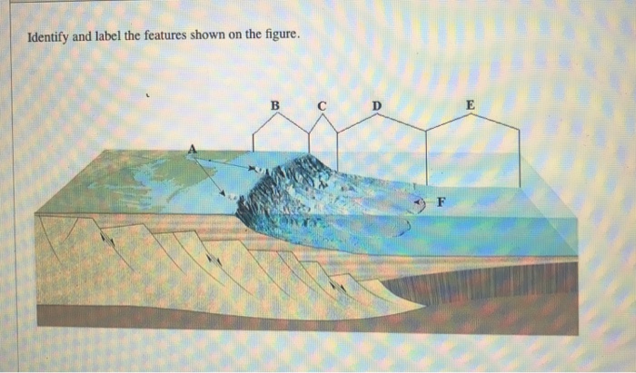 Solved Identify and label the features shown on the figure. | Chegg.com