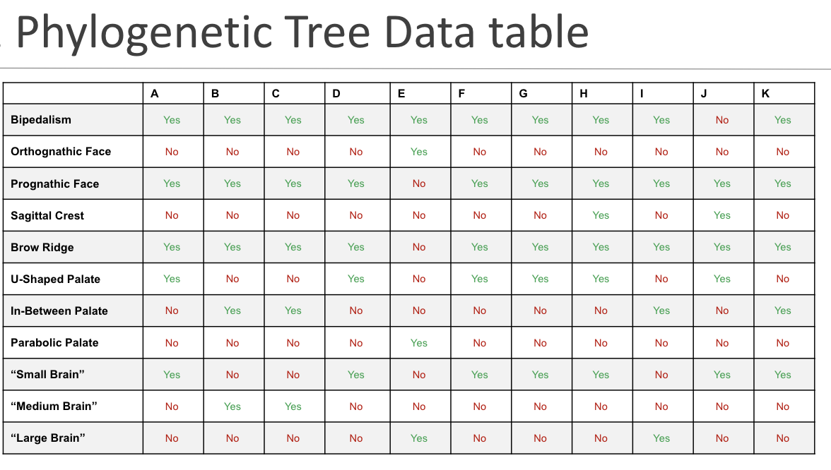 Solved On the slide labeled "2.3 Your First Phylogenetic | Chegg.com