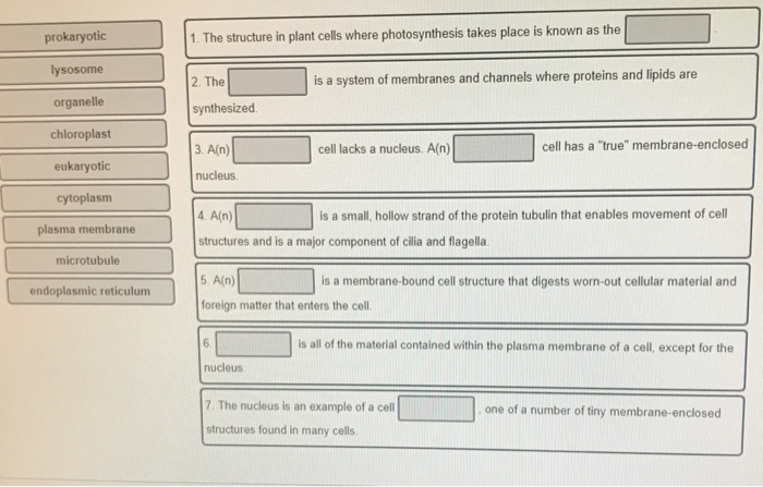 Solved 1. The structure in plant cells where photosynthesis | Chegg.com