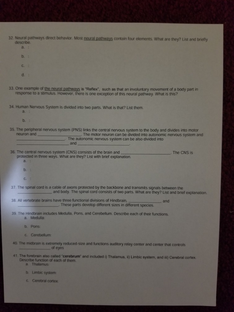 Solved 32. Neural pathways direct behavior. Most neural | Chegg.com