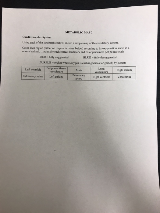 Solved METABOLIC MAP 3 Draw a map to trace the course of the | Chegg.com