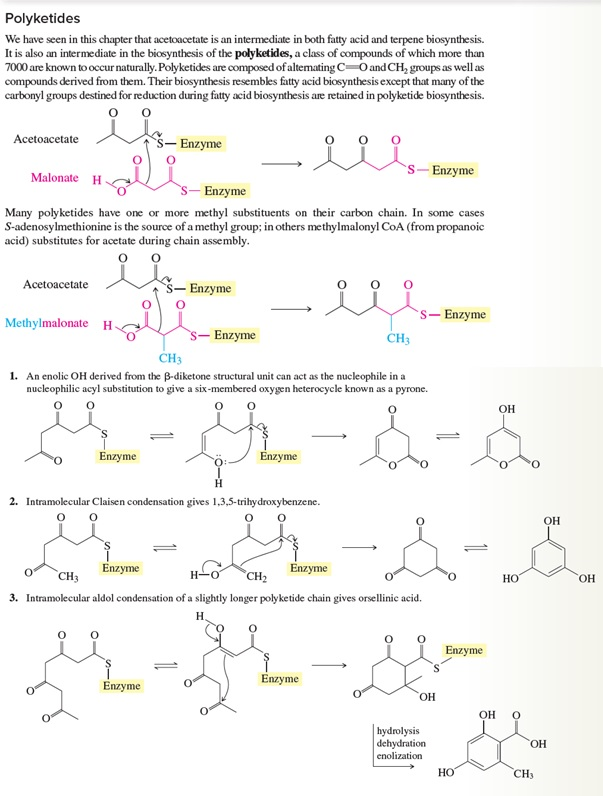Solved Polyketides We have seen in this chapter that | Chegg.com