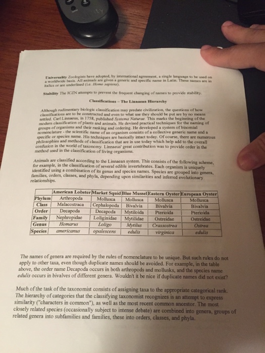Solved BY 109 Taxonomy and Classification Adapted from The | Chegg.com
