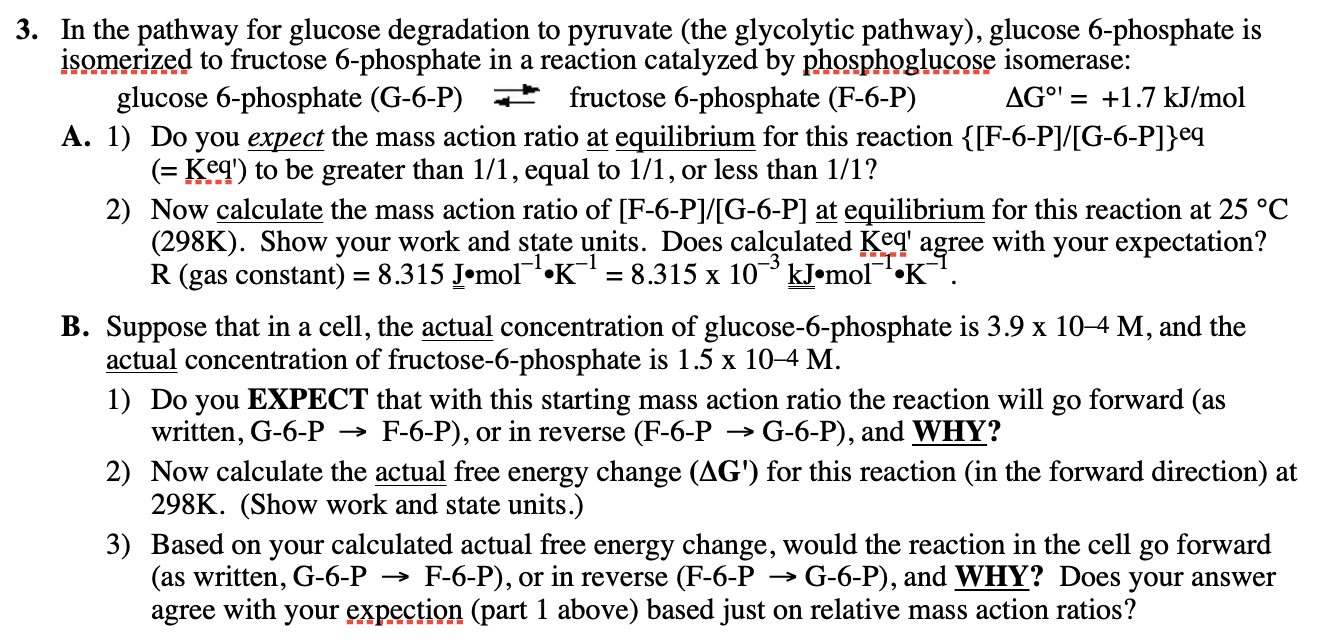 Solved 3. In the pathway for glucose degradation to pyruvate | Chegg.com