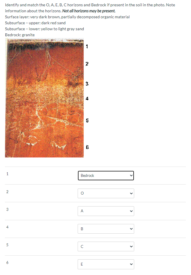 Solved Identify and match the O, A, E, B, C horizons and | Chegg.com