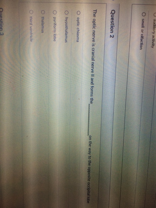 Solved Nervous system questions | Chegg.com