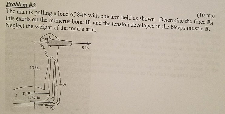 Solved Problem #3 The man is pulling a load of 8-lb with one | Chegg.com
