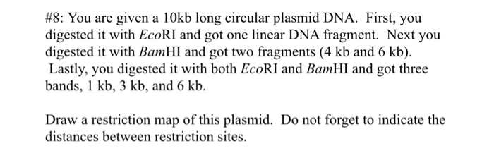 Solved You are given a 10 kb long circular plasmid DNA. | Chegg.com