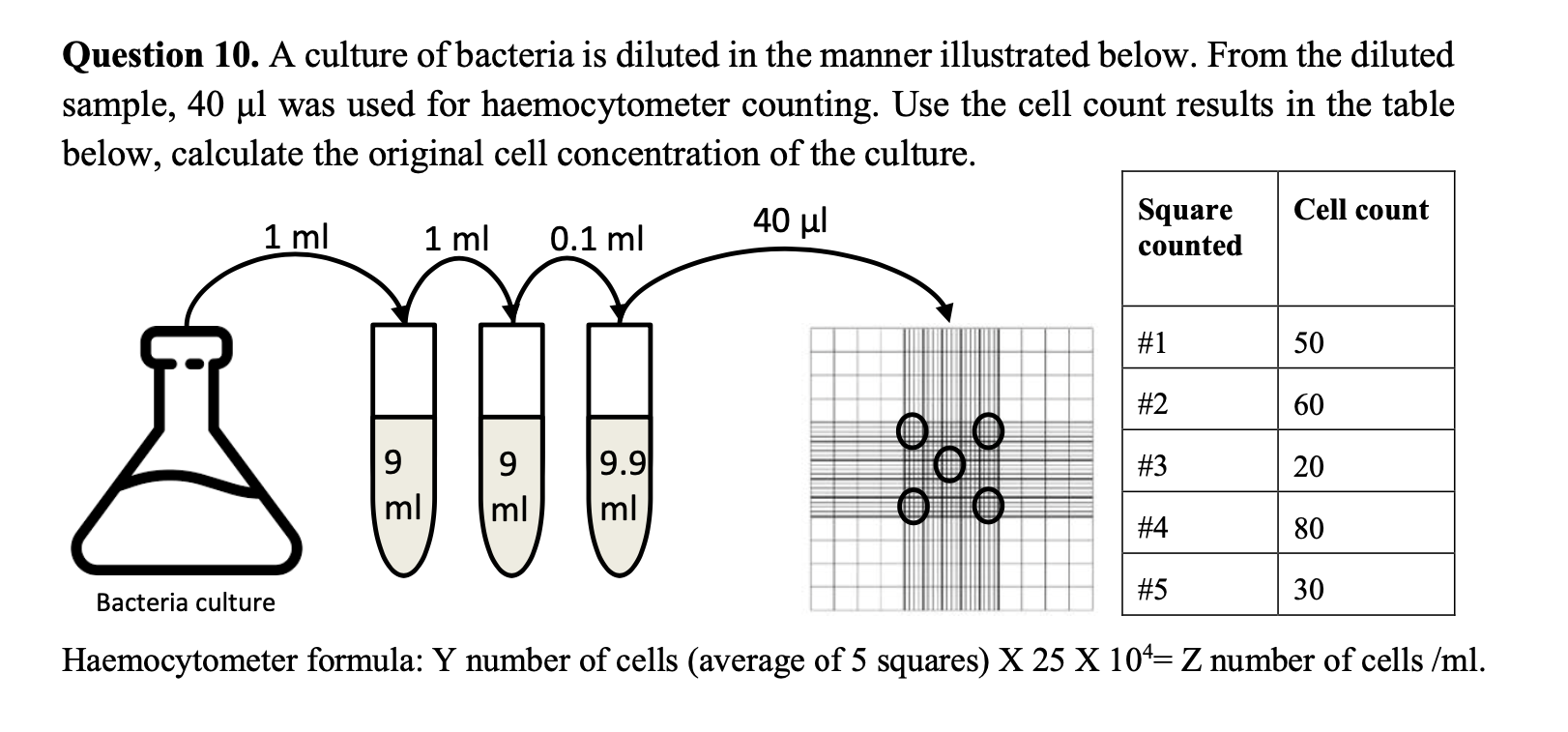 Solved Question 10. A culture of bacteria is diluted in the | Chegg.com