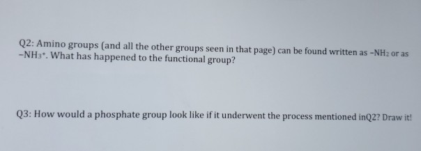 Solved The bottom question(Q3) is the question I want | Chegg.com