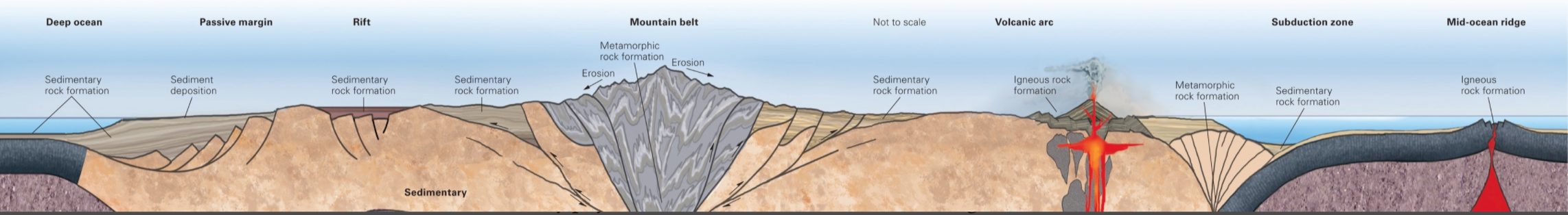 Solved Deep ocean Passive margin Rift Mountain belt Not to | Chegg.com