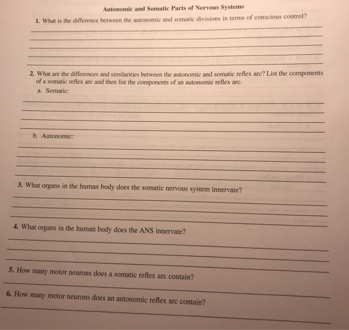 Solved Autonomic and Somatic Parts of Nervous Systems in | Chegg.com