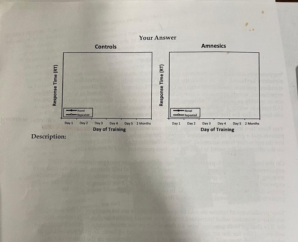 Suppose You Conduct An Experiment In Which You Train