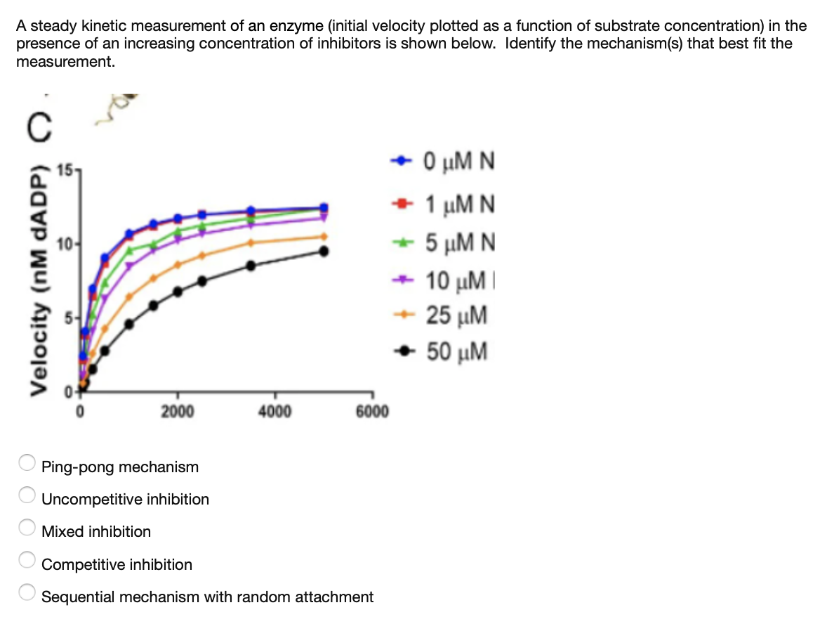 Solved A steady kinetic measurement of an enzyme (initial | Chegg.com