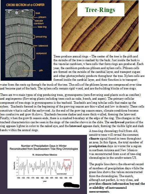 Solved a) What information can annual tree rings provide | Chegg.com