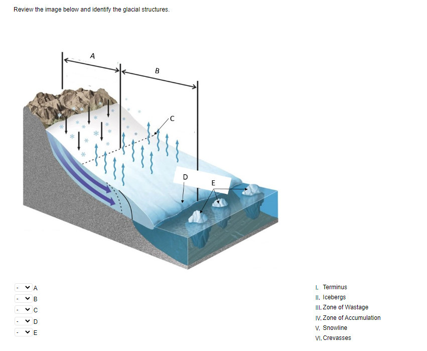 Solved Review the image below and identify the glacial | Chegg.com