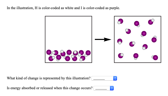 Solved In the illustration, H is color-coded as white and O | Chegg.com