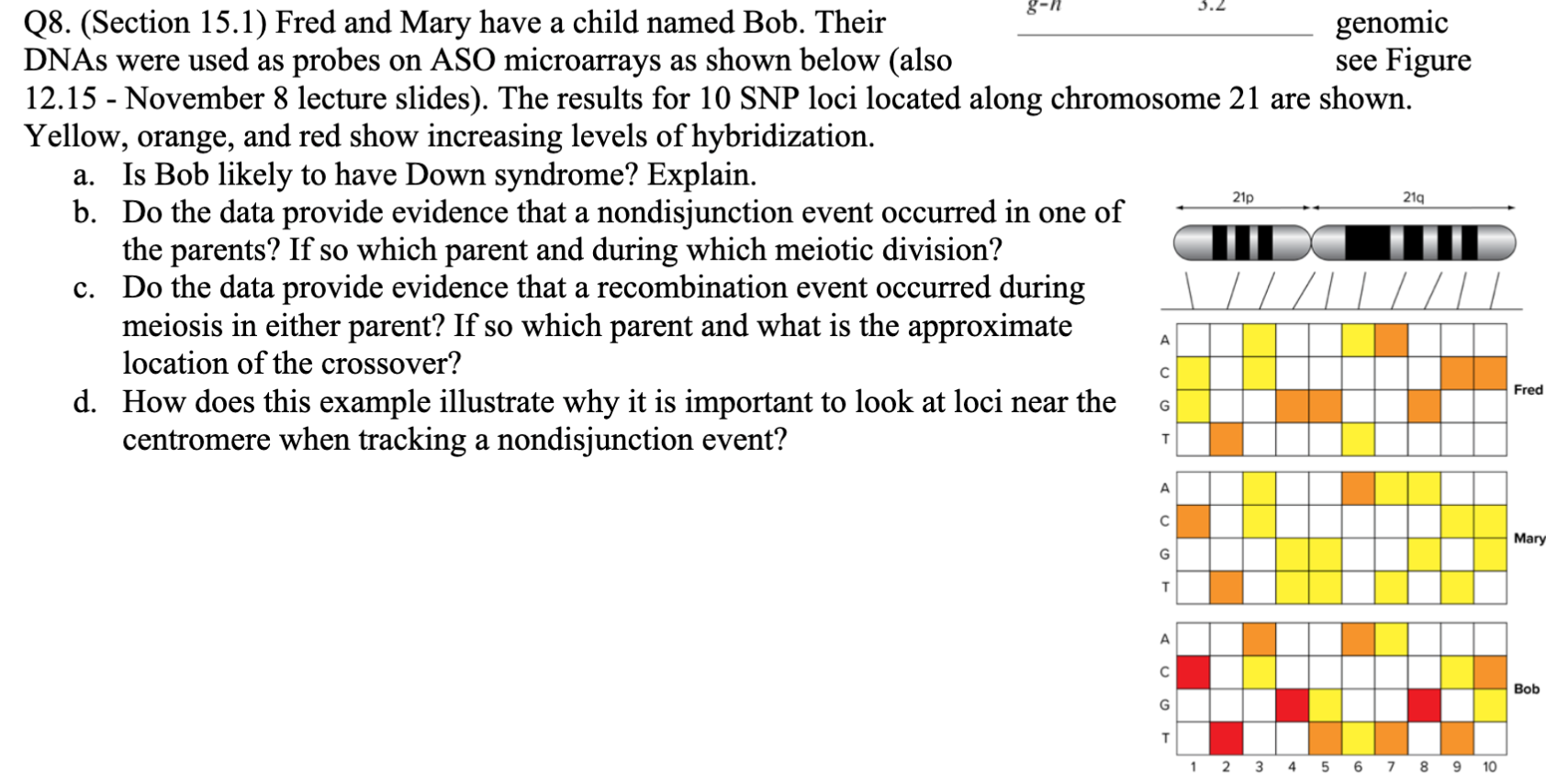 Solved Q8. (Section 15.1) ﻿Fred and Mary have a child named | Chegg.com