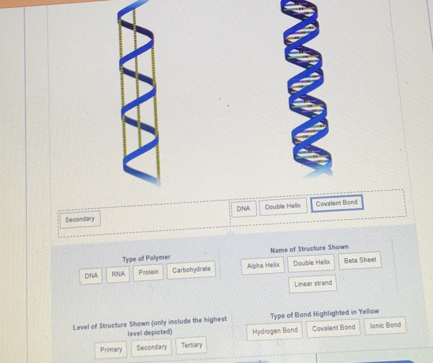 Solved the structures of two different biological polymers | Chegg.com