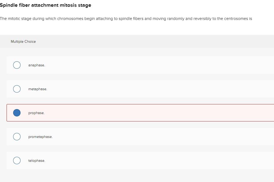 Solved Spindle fiber attachment mitosis stage The mitotic | Chegg.com