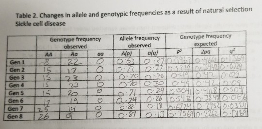 Solved Table 2. Changes in allele and genotypic frequencies | Chegg.com