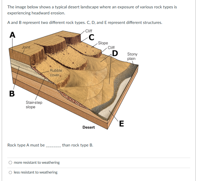 Solved Subtropical deserts are a result of being located as | Chegg.com