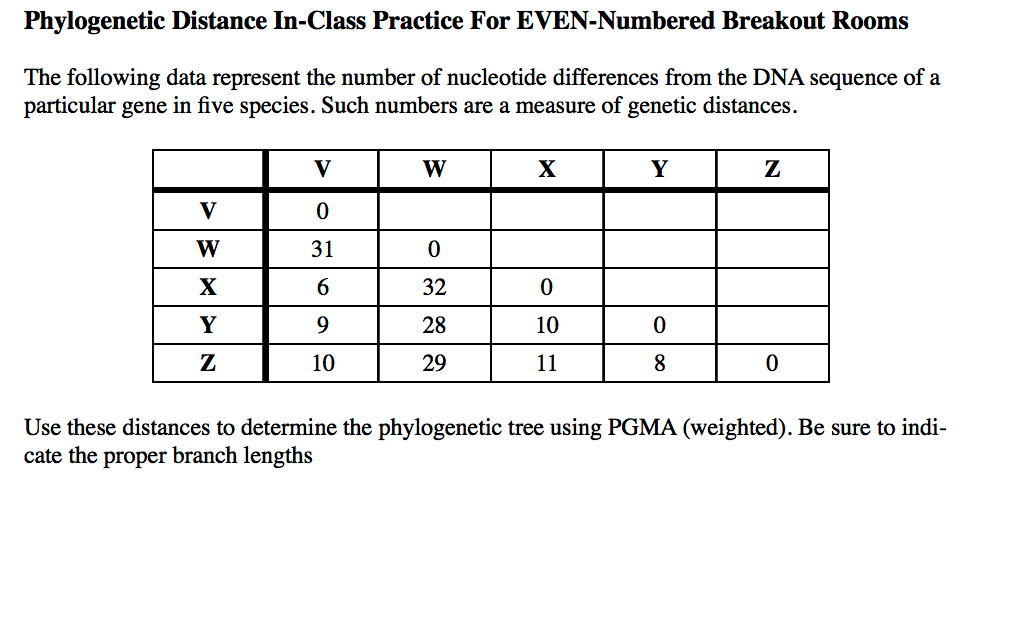 Solved Phylogenetic Distance In-Class Practice For | Chegg.com