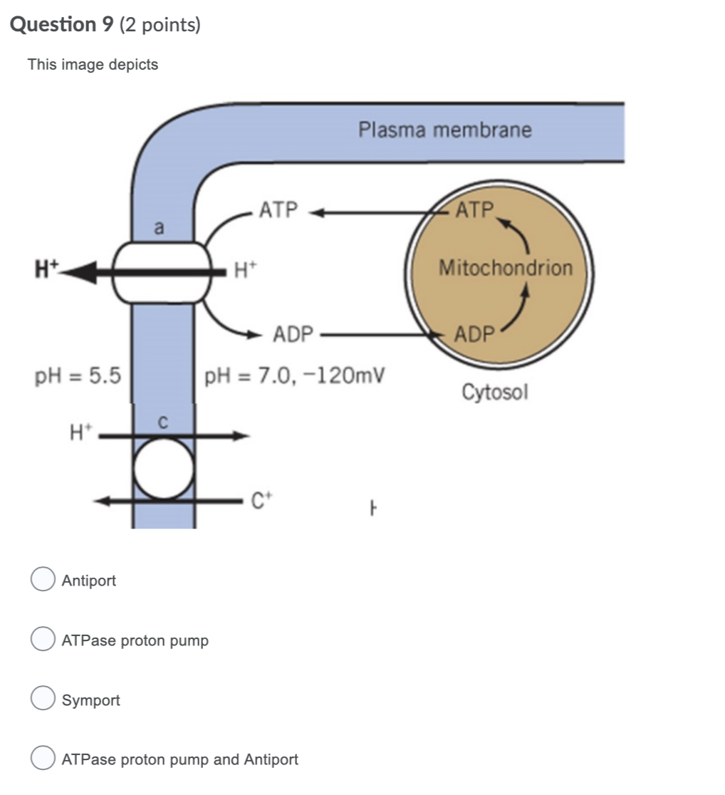 Solved Question 7 (2 points) The soil colloidal fraction is | Chegg.com