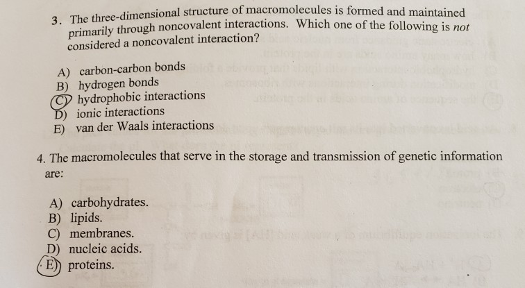 Solved onal structure of macromolecules is formed and | Chegg.com