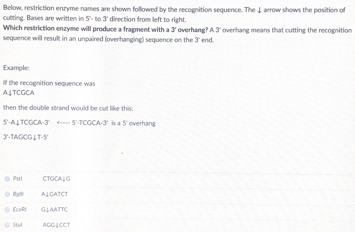 Solved Below, restriction enzyme names are shown followed by | Chegg.com