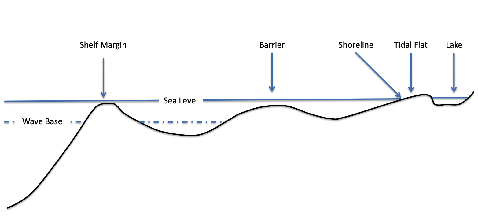 Solved Using the FOLK and DUNHAM classification schemes, | Chegg.com