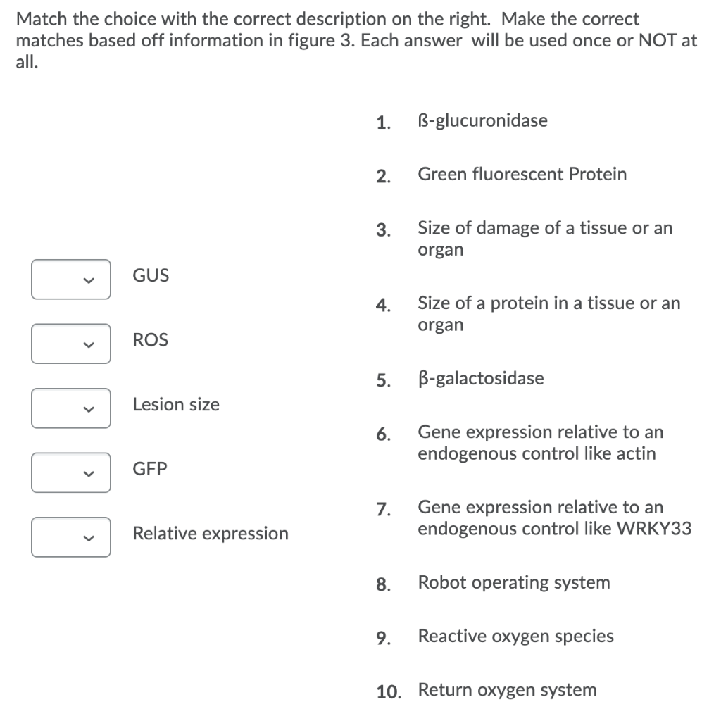 Solved (b) (c) (a) 100 90 Average lesion area (mm)_ GFP-GUS | Chegg.com
