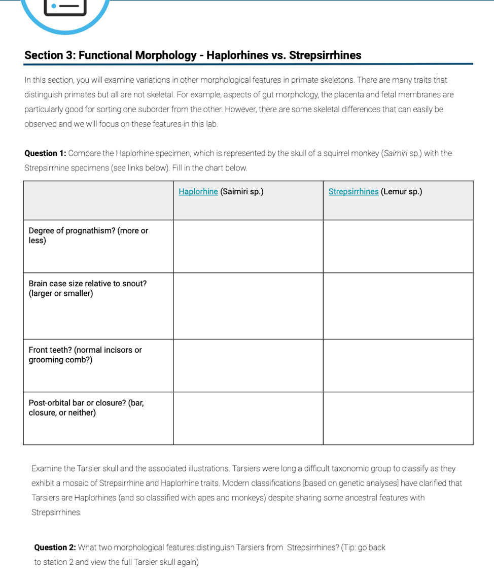 Solved Section 4: Functional Morphology Great Apes \& Humans | Chegg.com