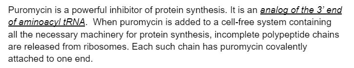 Solved Puromycin is a powerful inhibitor of protein | Chegg.com