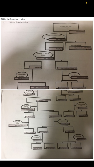 Fill in the flow chart below Fa in the flow chart | Chegg.com