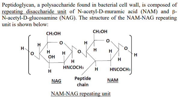 Solved Peptidoglycan, a polysaccharide found in bacterial | Chegg.com