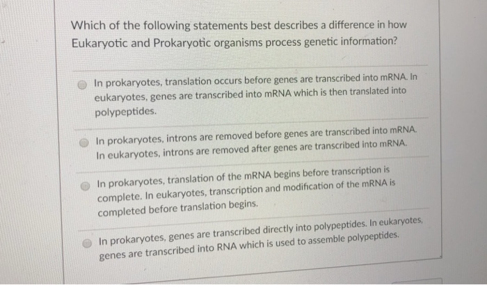 Which Of The Following Best Describes Transcription? - Captions Energy