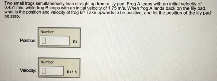Solved Two small frogs simultaneously leap straight up from | Chegg.com