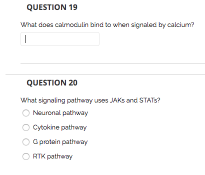 Solved QUESTION 19 What does calmodulin bind to when | Chegg.com
