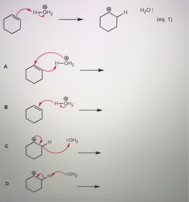 Solved H H20: (eq 1) H-OH2 :OH2 OH2 | Chegg.com