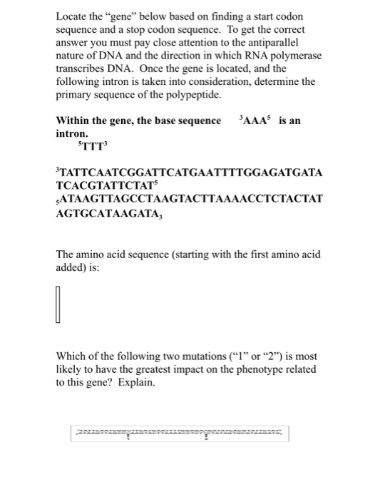 Solved Locate the "gene" below based on finding a start | Chegg.com