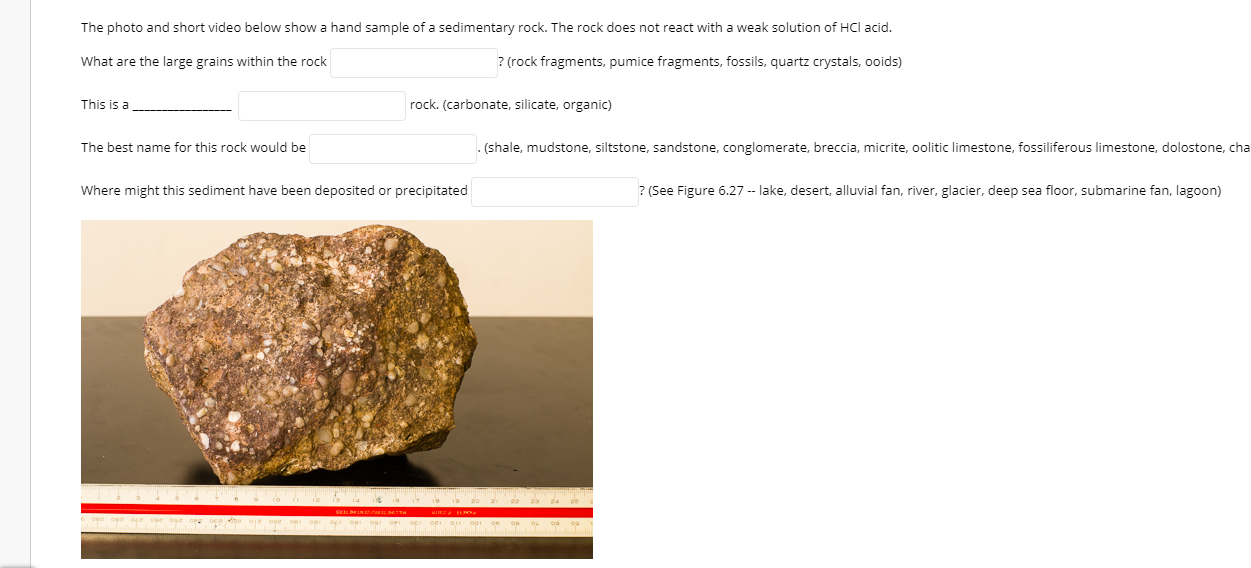 Solved The photo and short video below show a hand sample of | Chegg.com