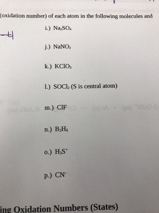 Solved Assign the oxidation number of each atom in the | Chegg.com