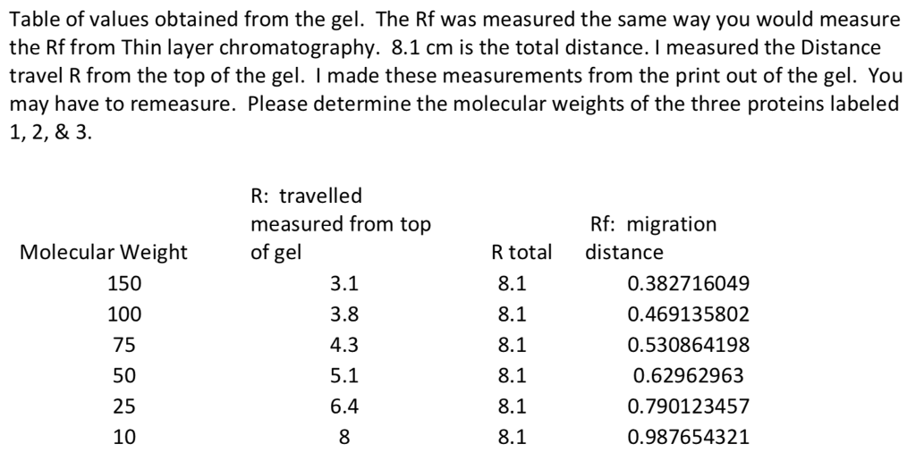 Solved Table of values obtained from the gel. The Rf was | Chegg.com