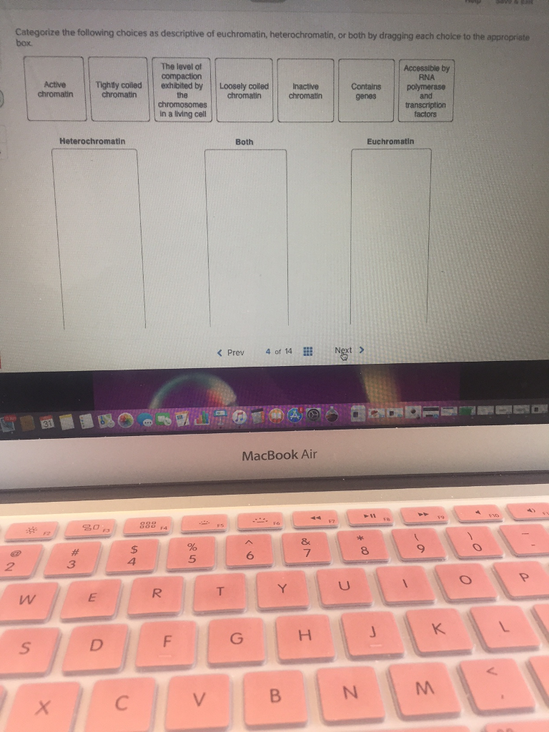 Solved Categorize the following choices as descriptive of | Chegg.com