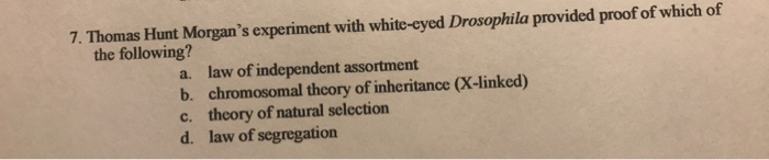 Solved 7. Thomas Hunt Morgan's experiment with white-eyed | Chegg.com