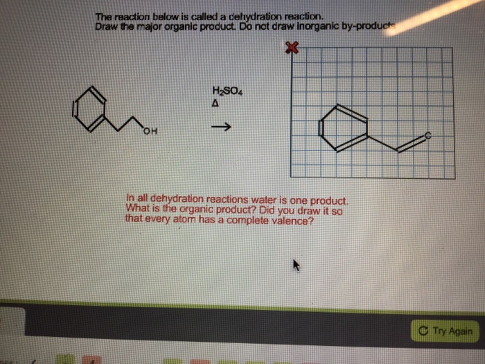 Solved The reaction below is called a dehydration reaction. | Chegg.com