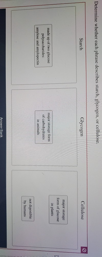 Solved Determine whether each phrase describes starch, | Chegg.com