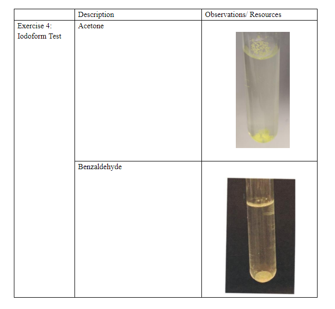 Solved Observations Resources Description Acetone Exercise | Chegg.com
