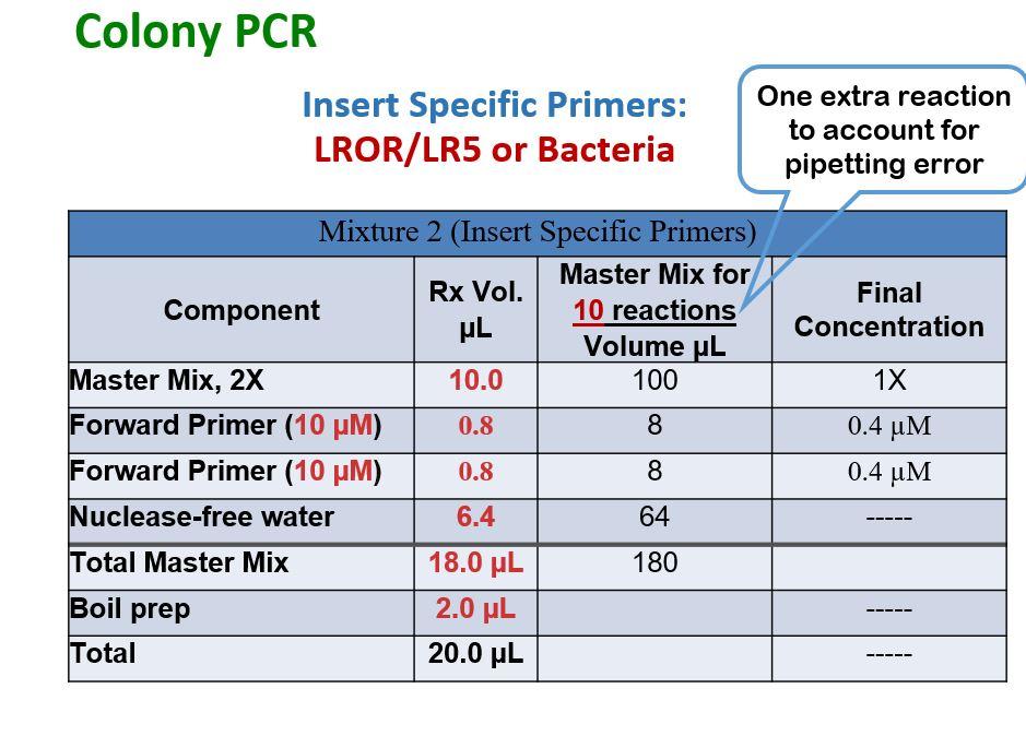 Solved DNA Type DNA Length Template Concentration in 10 ul | Chegg.com
